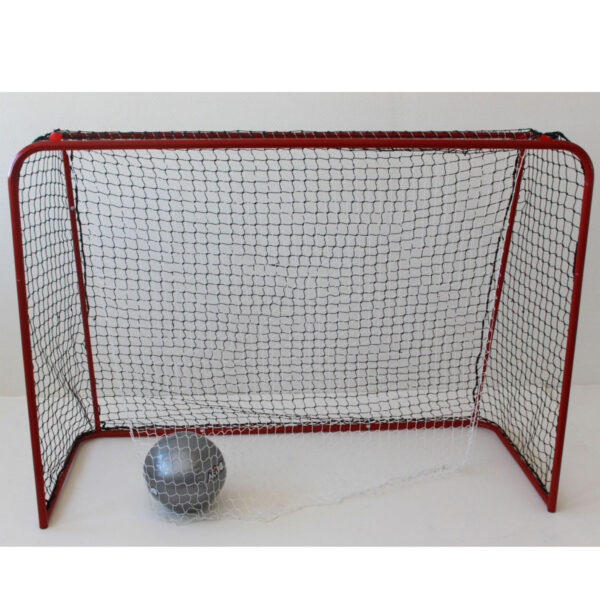 Floorball Goal Post Singapore - FloorBallPlay SG